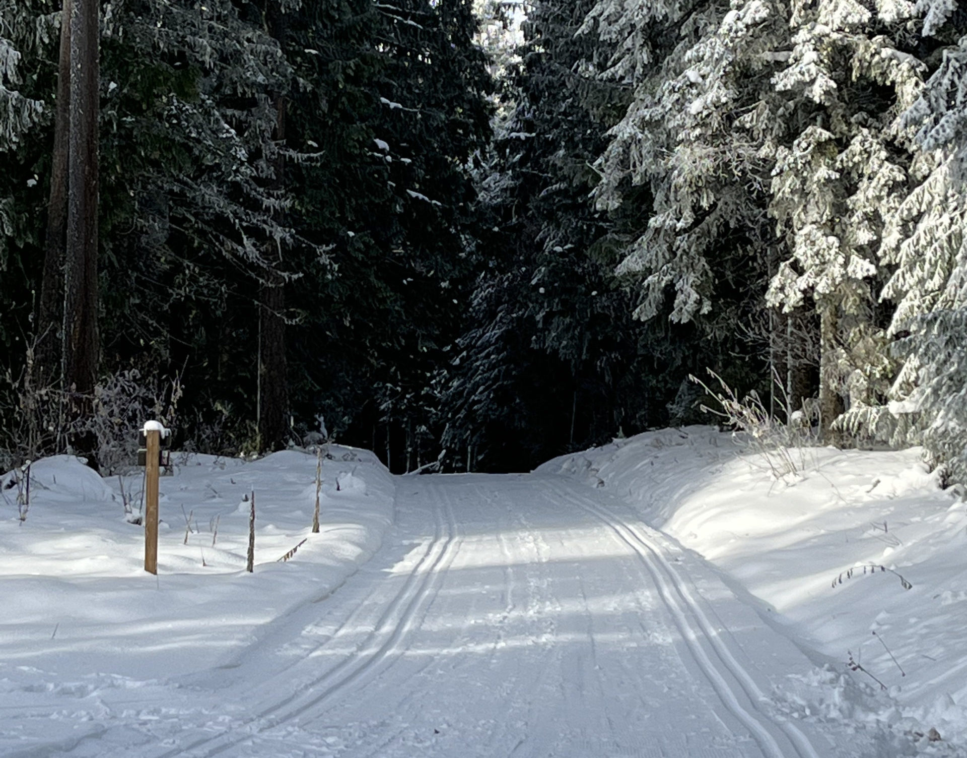 Join Us & Renew | Palouse Divide Nordic Ski Club
