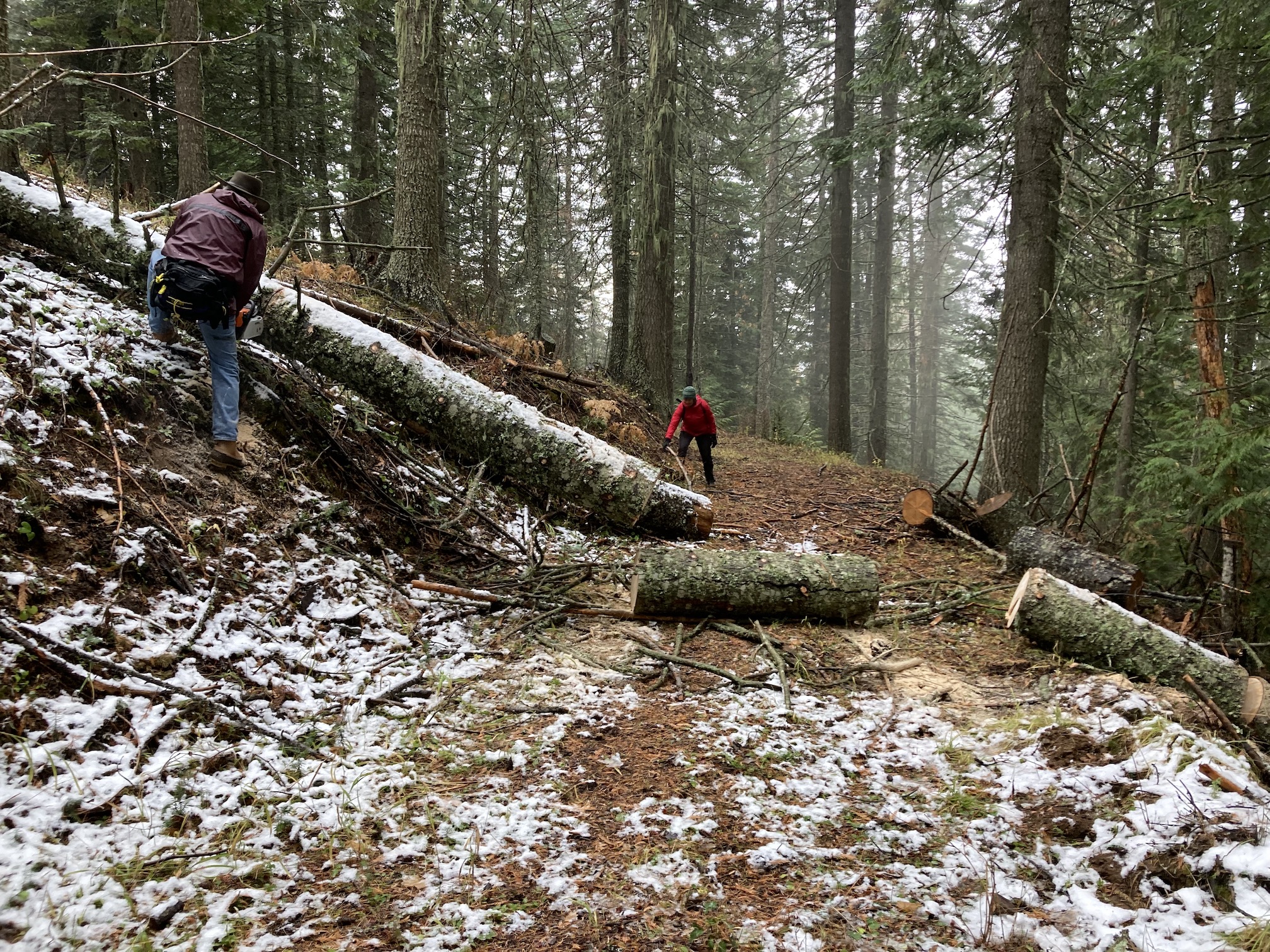 Nov 15 & 16, 2025: Trail Clearing Days | Palouse Divide Nordic Ski Club