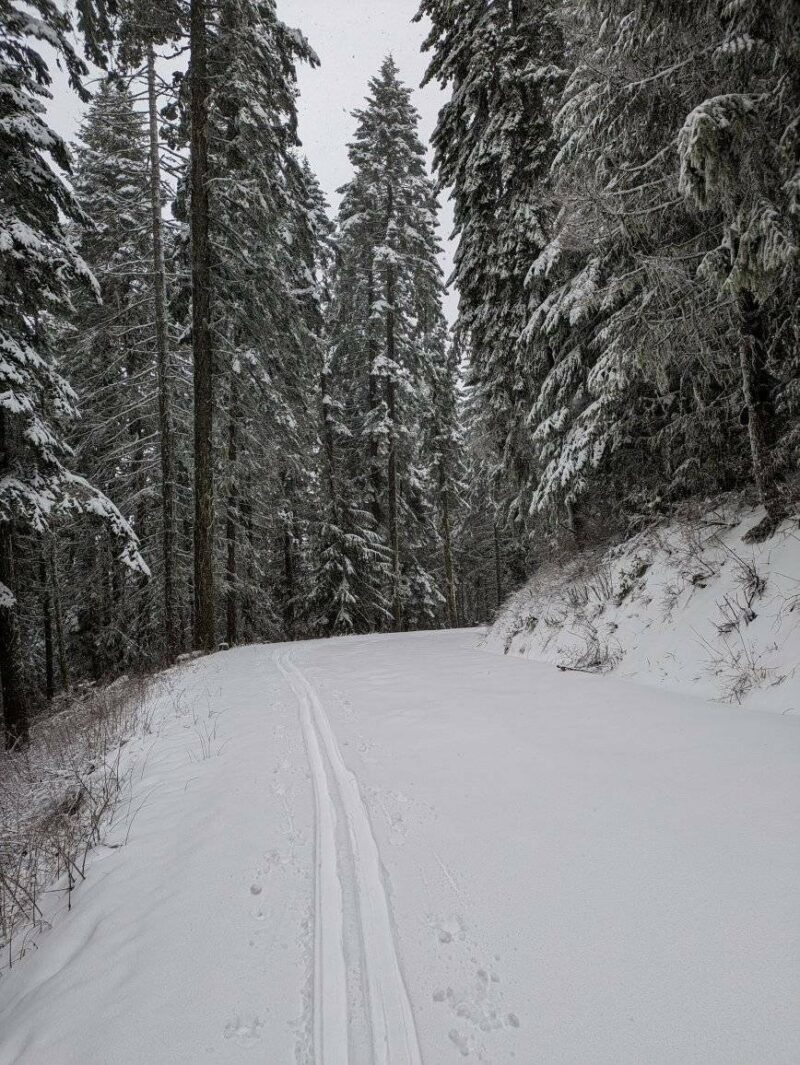 2024-2-28 Snow Report | Palouse Divide Nordic Ski Club