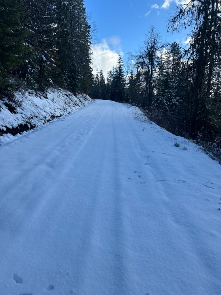 2024-02-13 (Some) Snow is back! | Palouse Divide Nordic Ski Club