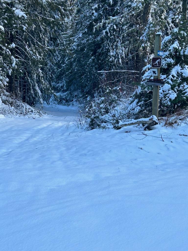 2024-02-13 (Some) Snow is back! | Palouse Divide Nordic Ski Club