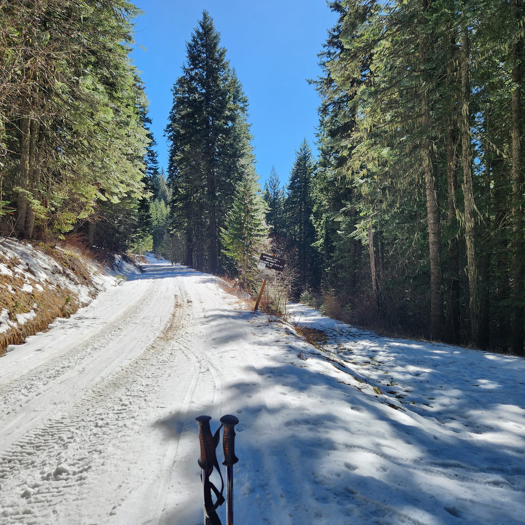 Latest News | Palouse Divide Nordic Ski Club