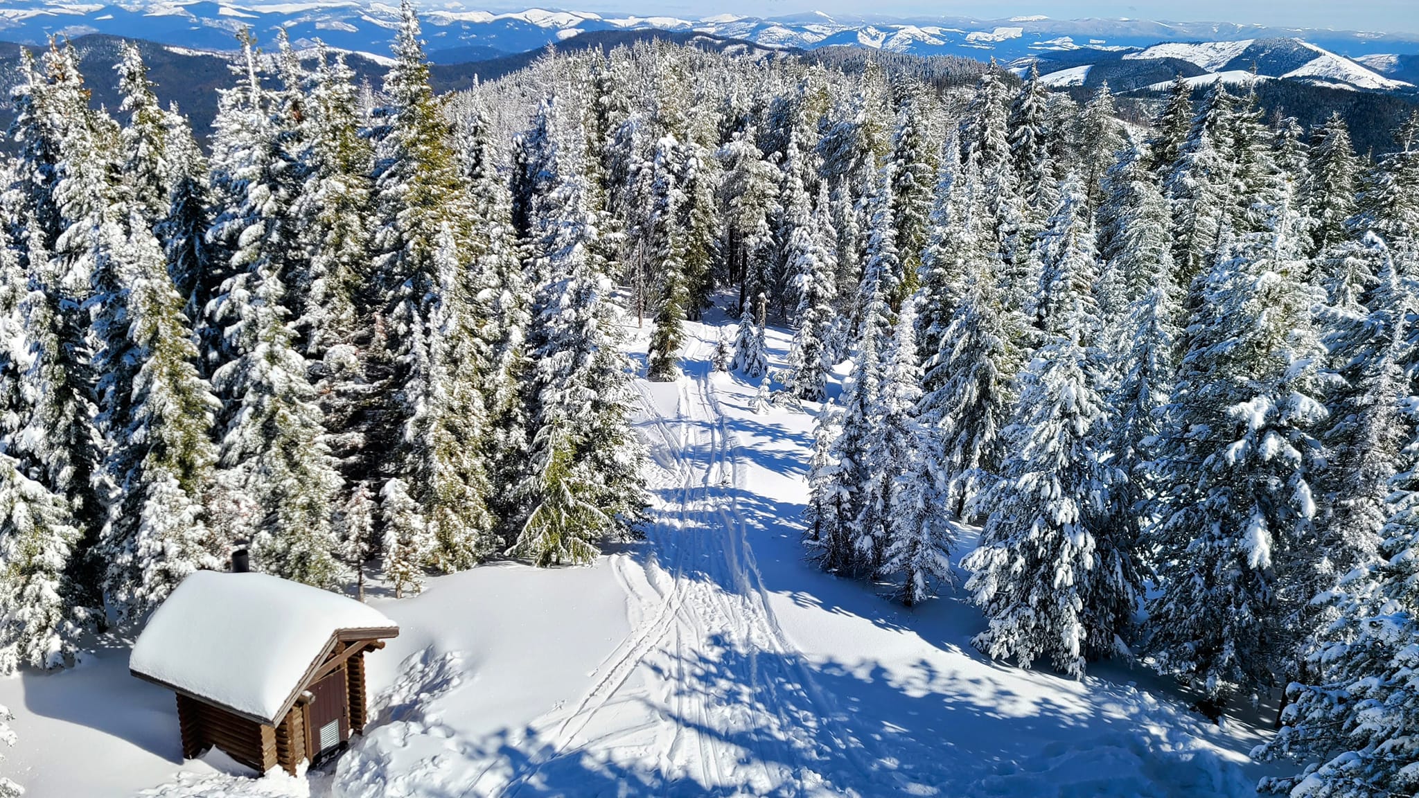 Bald Mountain Loppet on Feb 22, 2025 | Palouse Divide Nordic Ski Club