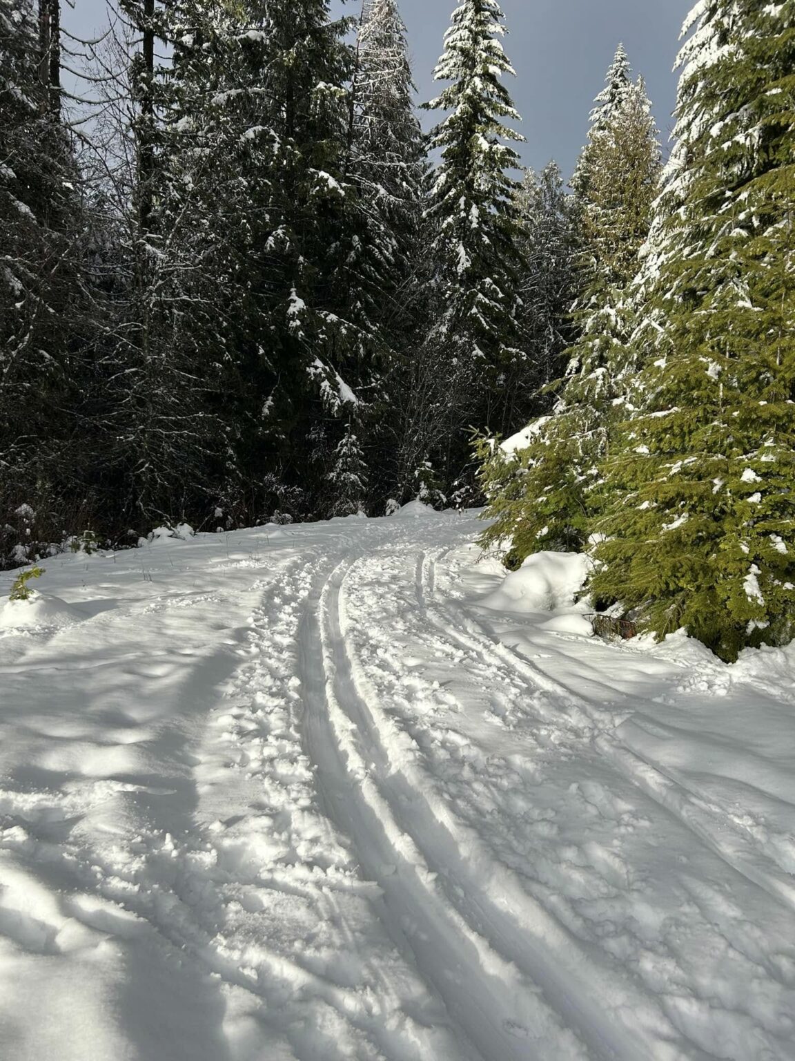 Jan 6, 2025 | Palouse Divide Nordic Ski Club