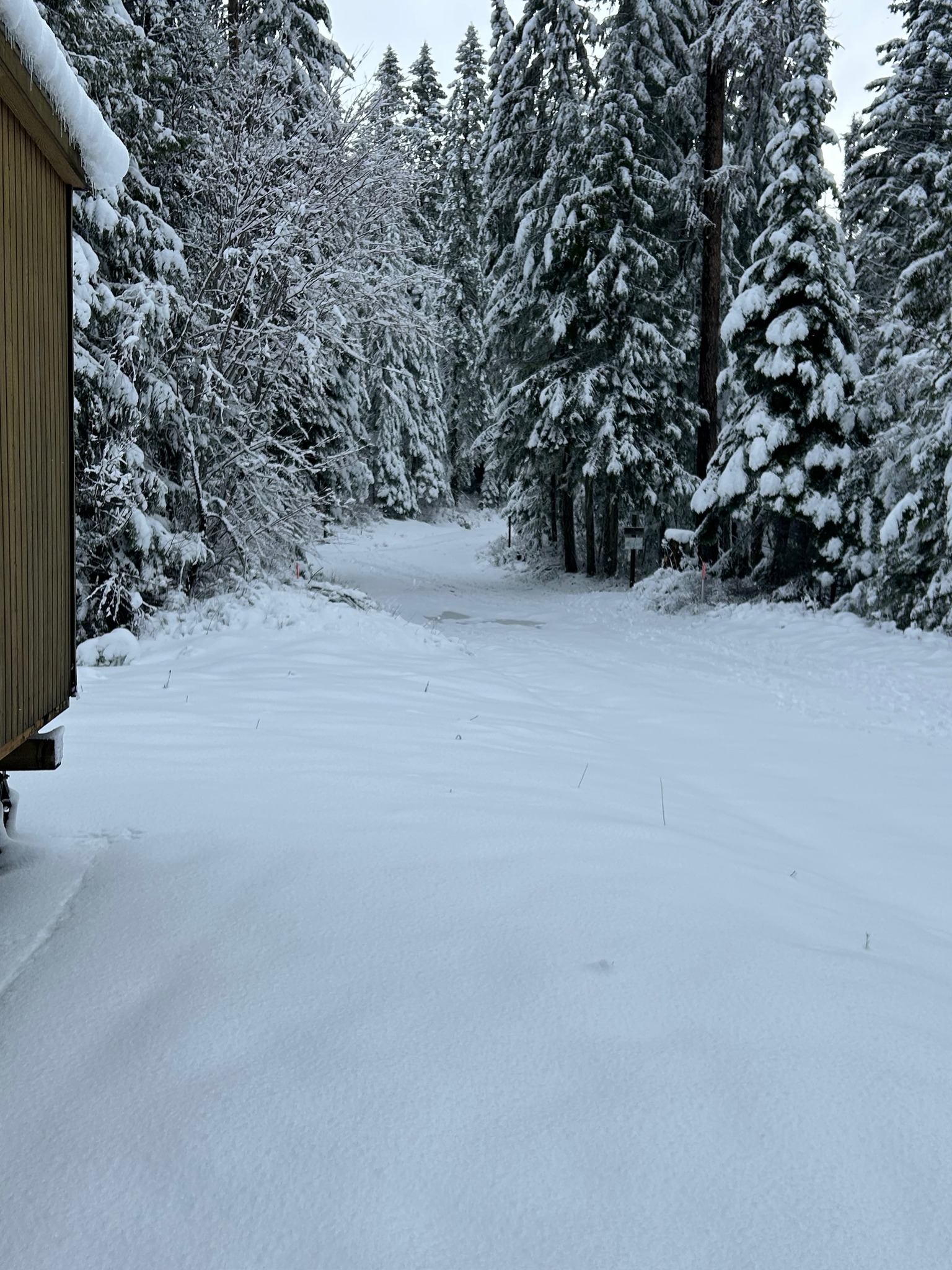 Jan 9, 2025 Snow, snow, and more snow! | Palouse Divide Nordic Ski Club