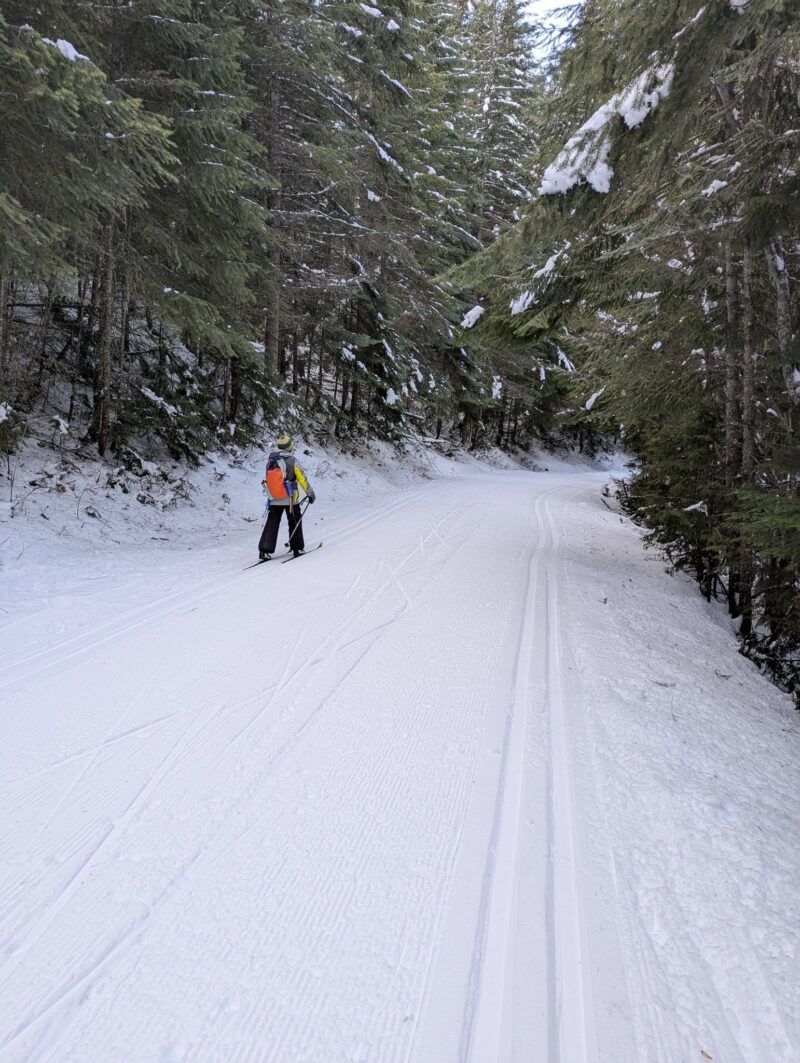 Jan 20, 2025 Still some good snow | Palouse Divide Nordic Ski Club