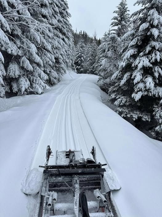 Jan 30, 2025 | Palouse Divide Nordic Ski Club