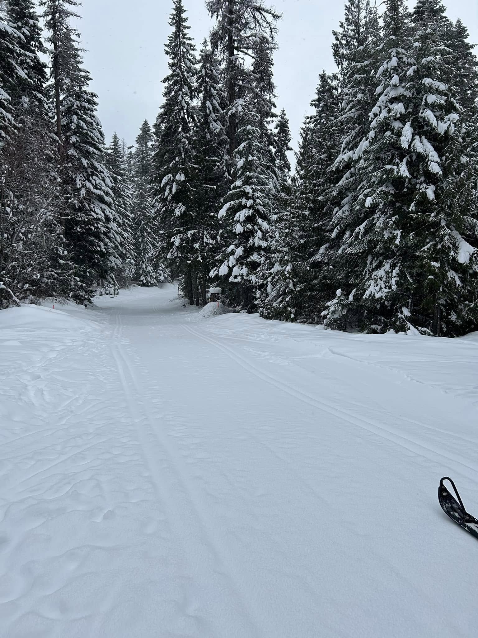 Feb 14, 2025: Grooming Report | Palouse Divide Nordic Ski Club