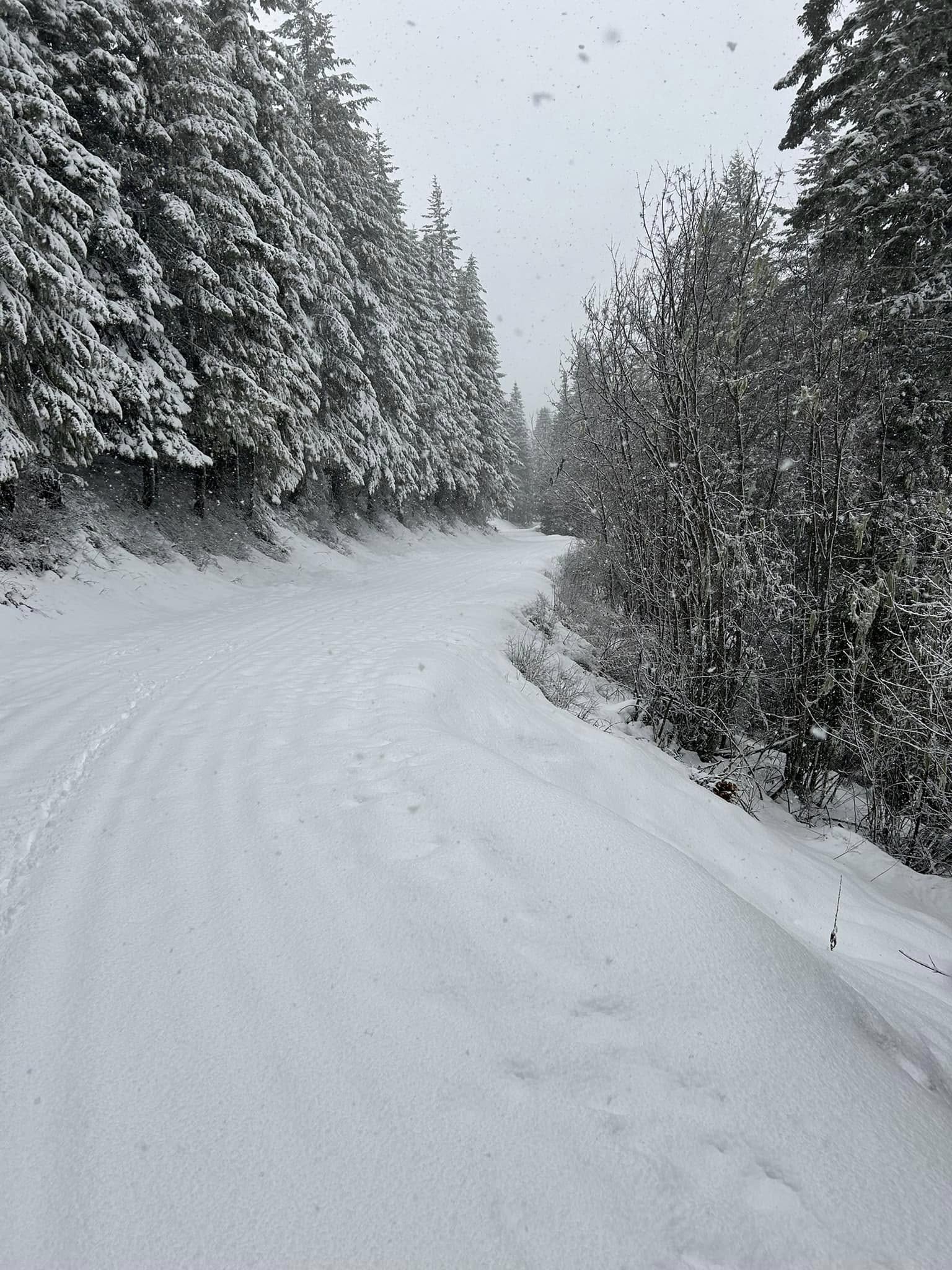 Feb 25, 2025: Snow report | Palouse Divide Nordic Ski Club