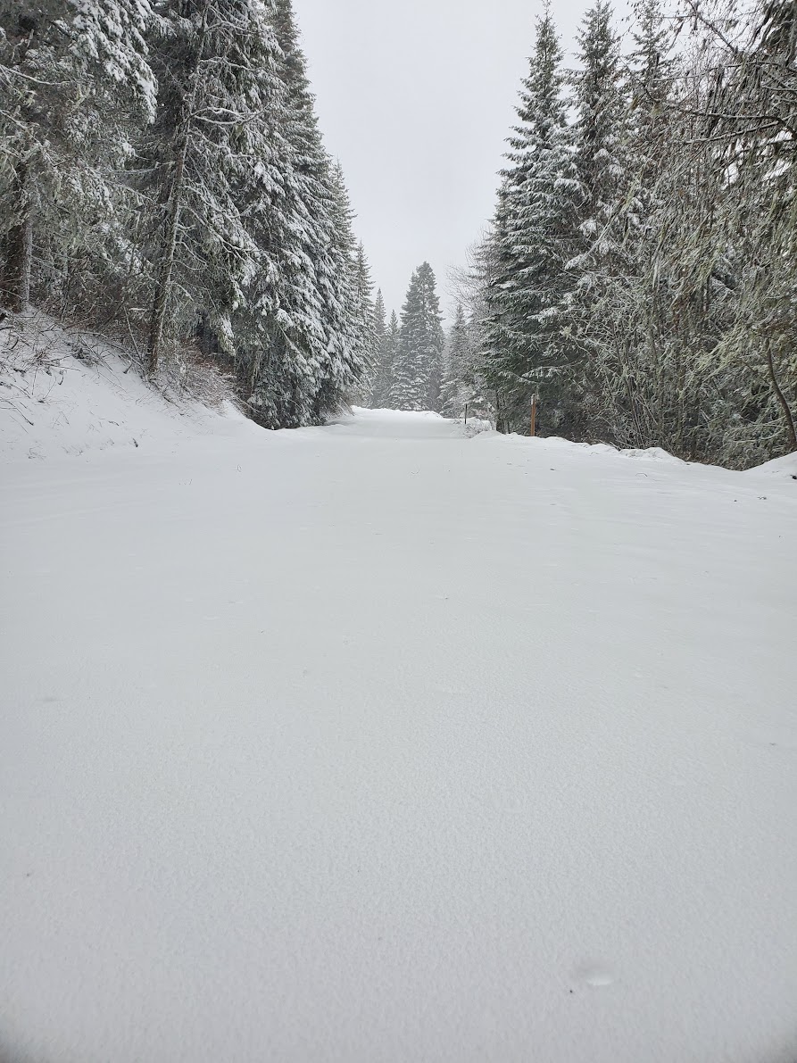 Mar 15, 2025: Snow! | Palouse Divide Nordic Ski Club