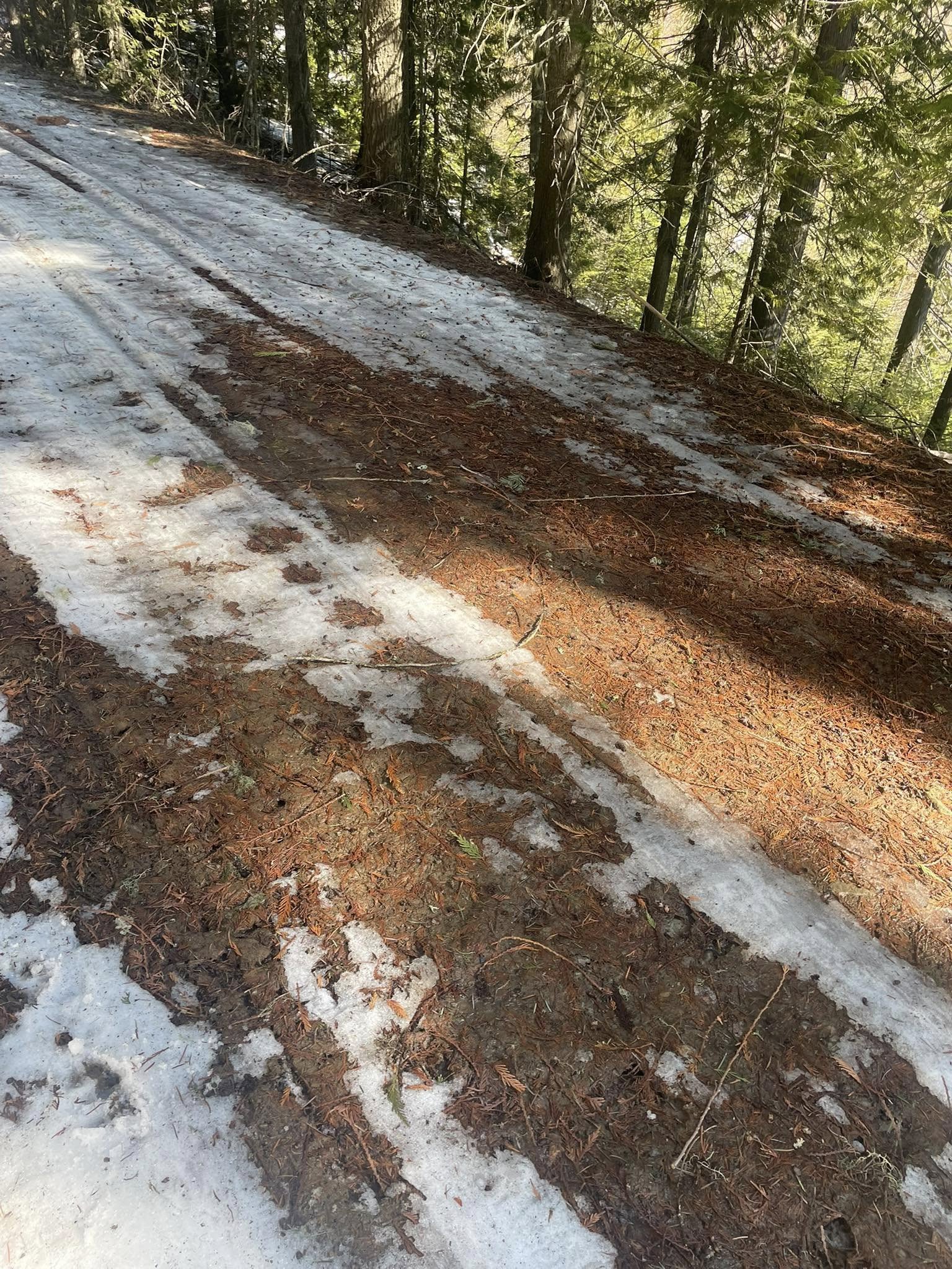 Mar 6, 2025: Grooming/Snow Report | Palouse Divide Nordic Ski Club