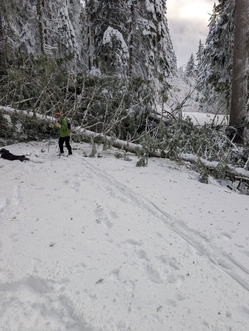 Latest News | Palouse Divide Nordic Ski Club